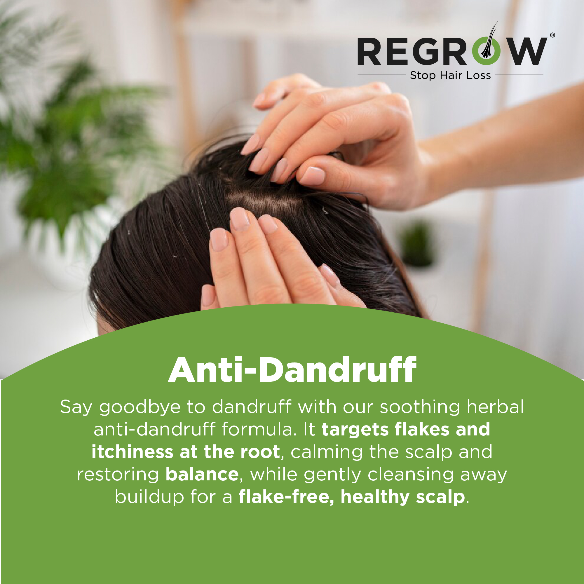REGROW Anti Hair Loss Shampoo Herbal | Hair Growth Shampoo (300ml ...
