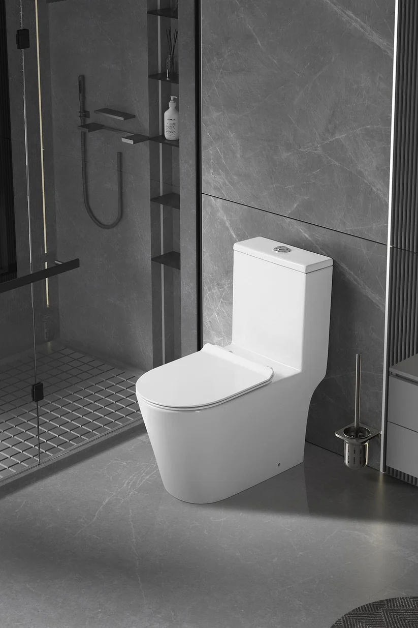 Eaco T933 Rimless Tornado Flushing Toilet Bowl | Express Free Home ...