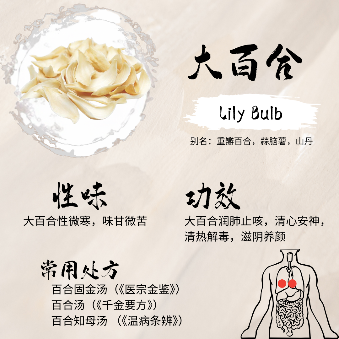 【TIEN SUNG】(L Size) Premium Lily Bulb (Bai He) 蘭州大百合 100g/300g/500g ...