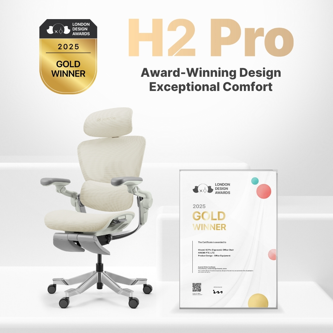 Hinomi H2 Pro Ergonomic Chair with Lumbar Support,Leg Rest,Mesh Home ...