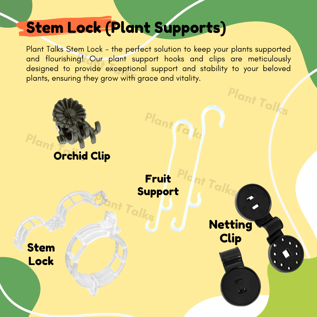 Plant Talks Plant Support Hook Stem Lock Orchid Clip for Climbing ...
