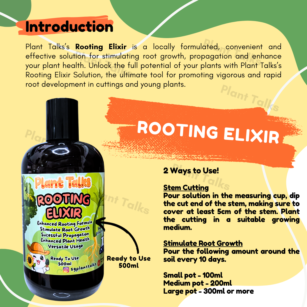 Premium Rooting Powder BEST IBA Rootmone Rooting Plant Hormone Roots ...