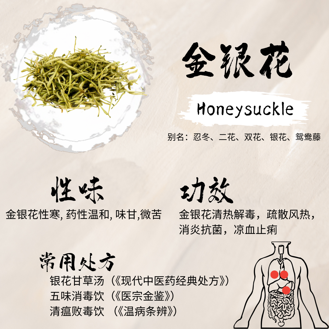 【TIEN SUNG】Honeysuckle Flower (Jin Yin Hua) 金银花 25g/100g | Shopee Singapore