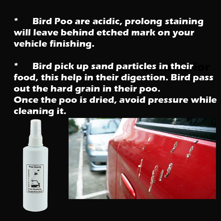 BioSafe4U Poo Away, a non-corrosive cleaner for bird poo and car ...