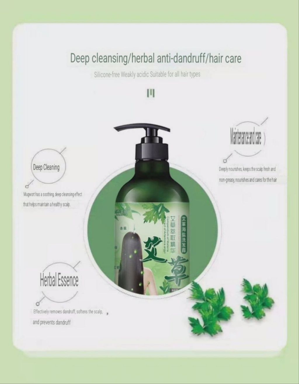 🇸🇬LOCAL SELLER 🇸🇬 QIAO FU LI AICAO Woodworm Sea Salt Shampoo Herbal ...