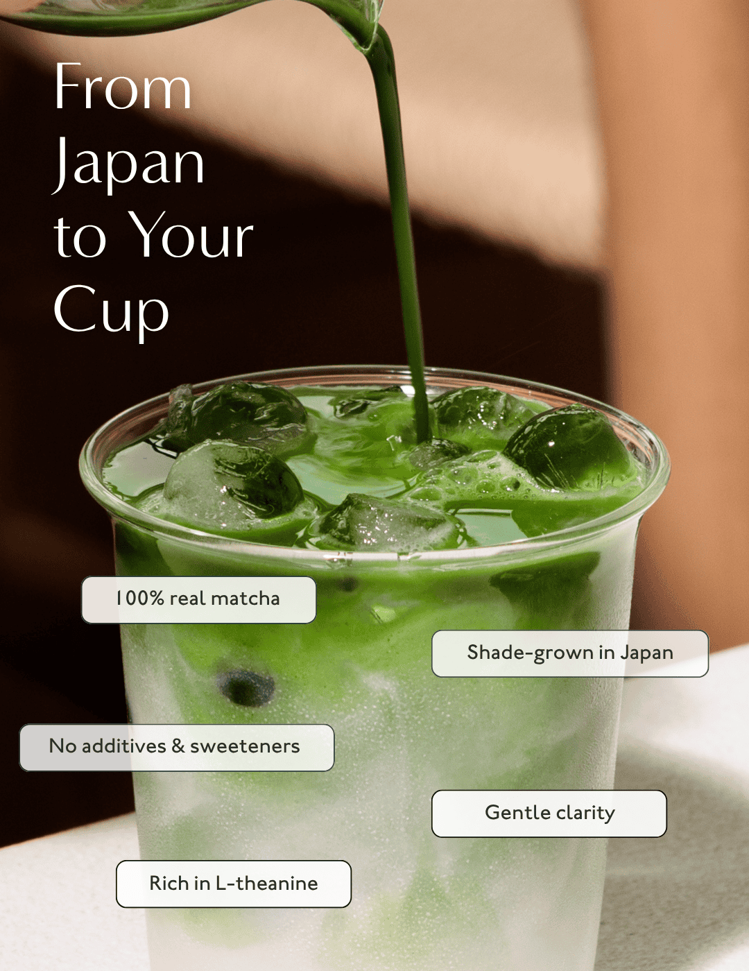 Naoki Matcha Barista Blend M Matcha Powder - Authentic Japanese Matcha ...