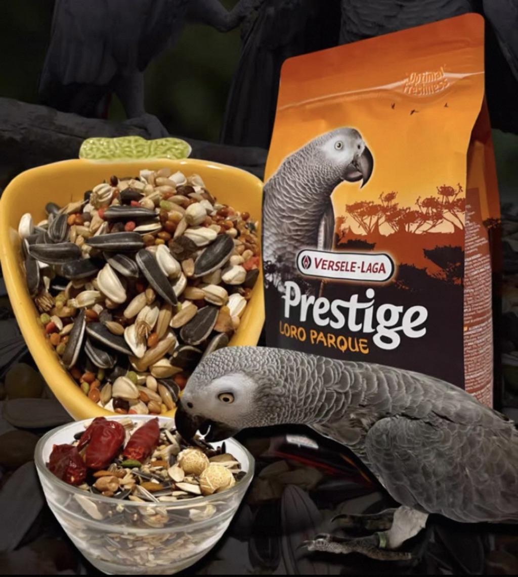 Large parrot food/parrot feed/bird food staple mixed food 1KG | Shopee ...