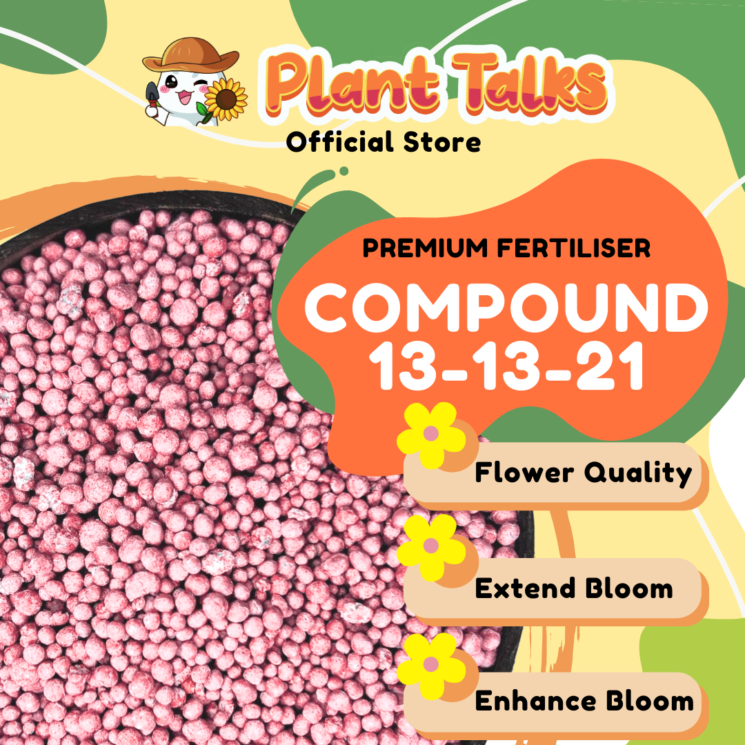 Plant Talks NPK 13-13-21 Compound Fertiliser Flower Fertilizer Fruit ...