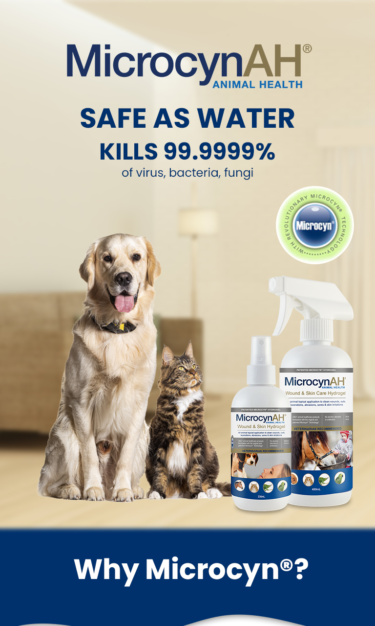 MicrocynAH Ear Rinse for Dogs, Cats and all other Animals Species ...