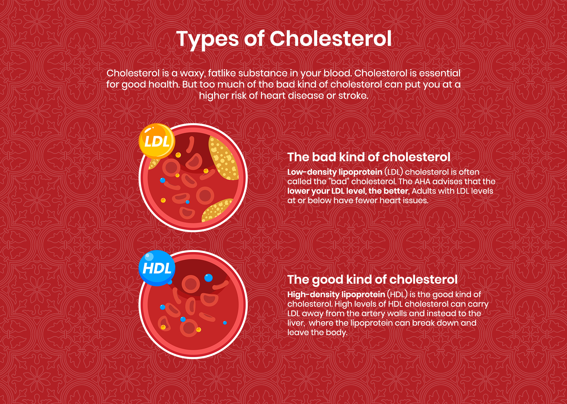 Cholesterol Cleanse Formula, COQ10 & Black Pepper - Promotes Healthy ...