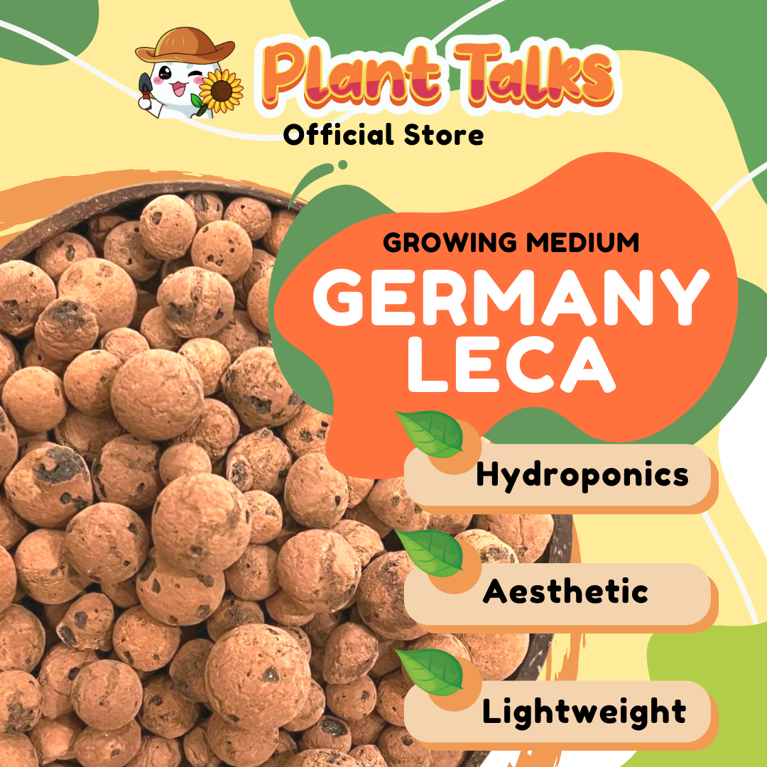 Plant Talks German Leca Clay Ball for Hydroponics Amendment Lecca Clay ...