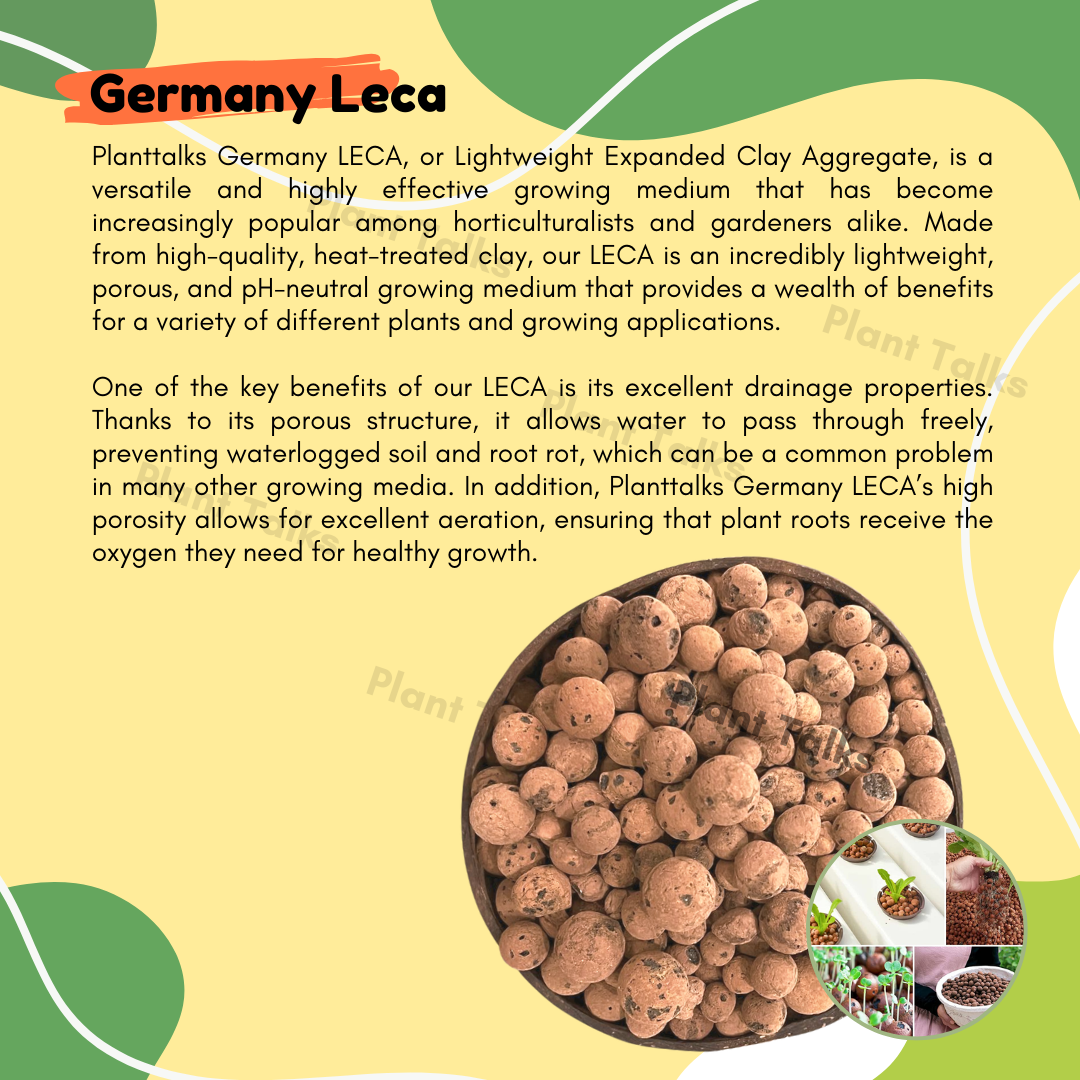 Plant Talks German Leca Clay Ball for Hydroponics Amendment Lecca Clay ...