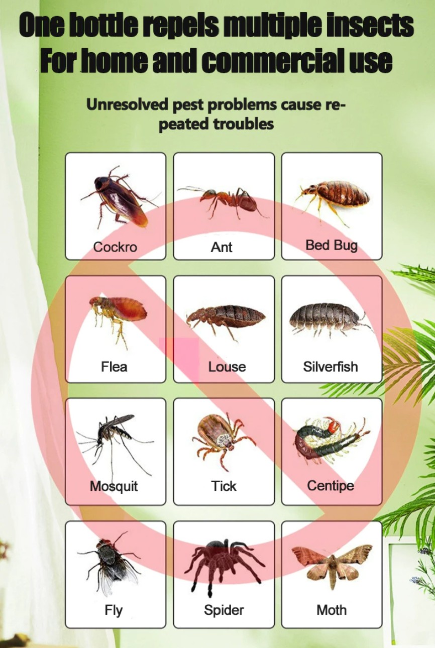 【🇸🇬𝗦𝗚 𝗦𝗧𝗢𝗖𝗞】Plant-based Cockroach Repellent Magic Box Safe Non-toxic ...