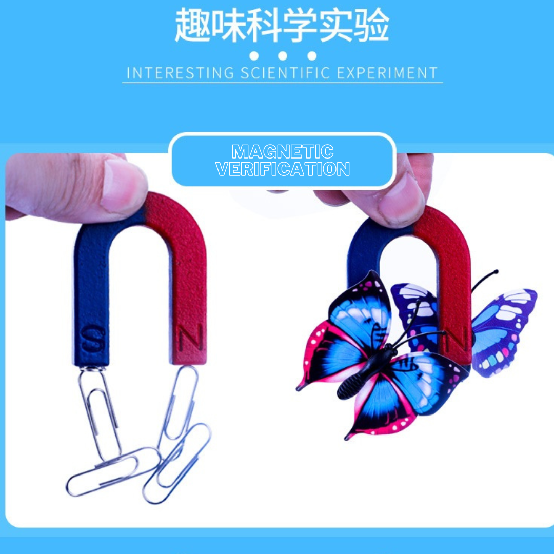 Magnetism Kit - P4 Science Experiment Set, STEM Teaching Aids, Magnet ...