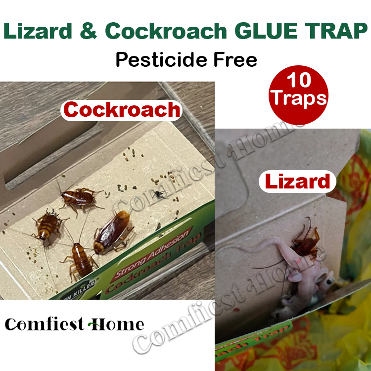 [SG Stock]10 Traps Cockroach Trap Lizard Mouse Board Rat Glue Sticky ...