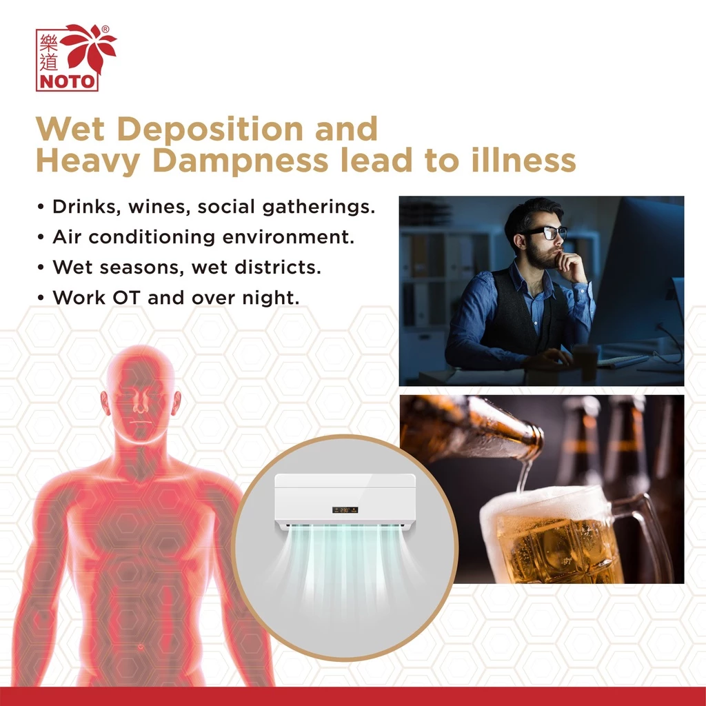 NOTO Dampness Health Capsules Supplement for Resolving Damp-toxin ...