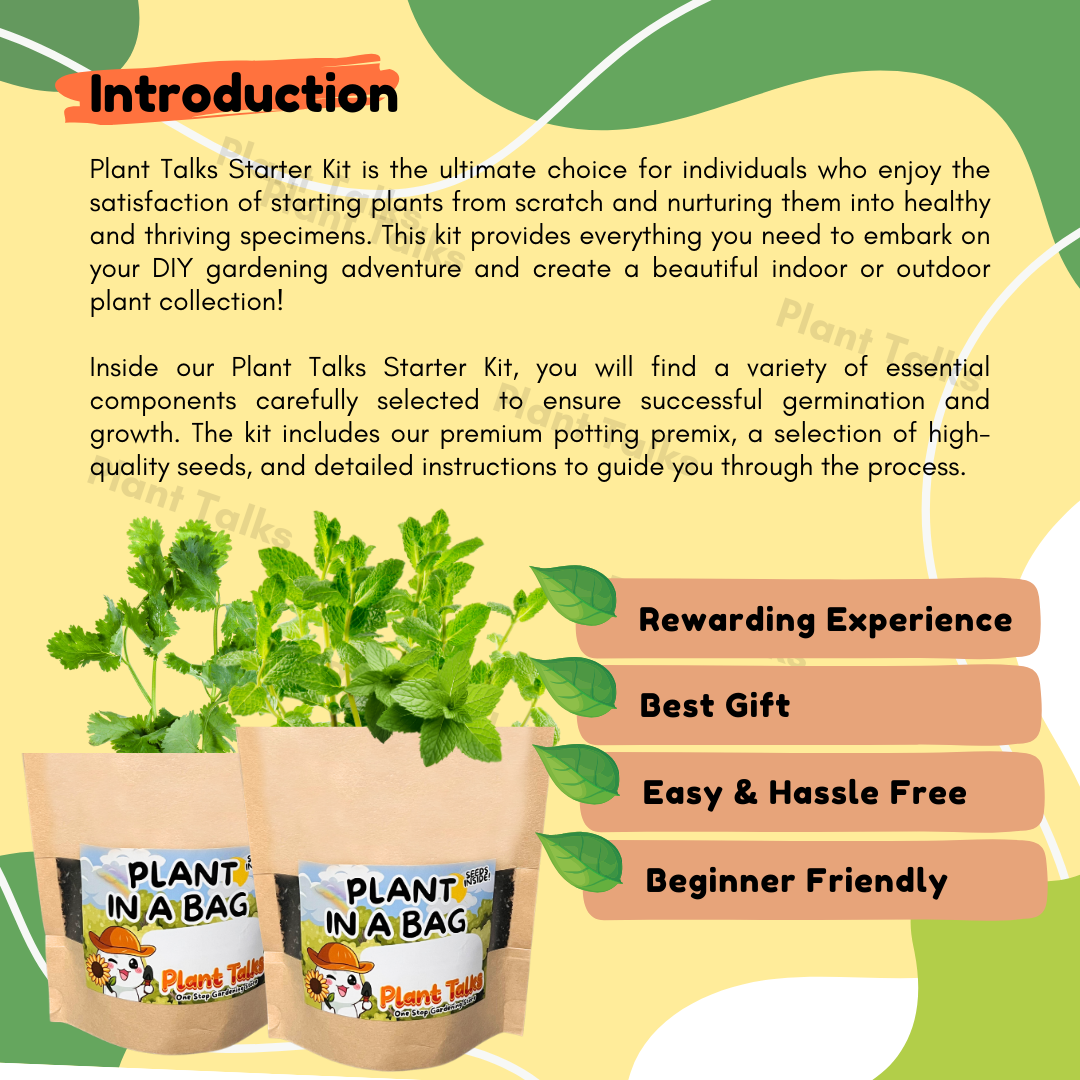Plant Talks Plant Starter Kit DIY Childrens Day Plant Kit Grow Herbs ...