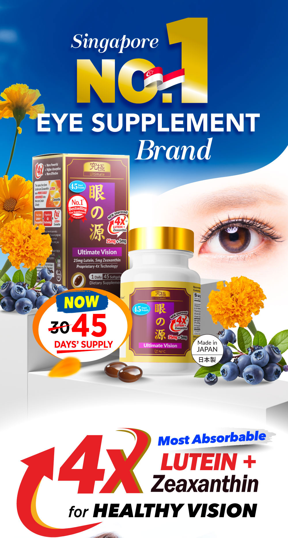 [3 Boxes] NEW - AFC Ultimate Vision 4X Free Form Lutein 4X Eye ...