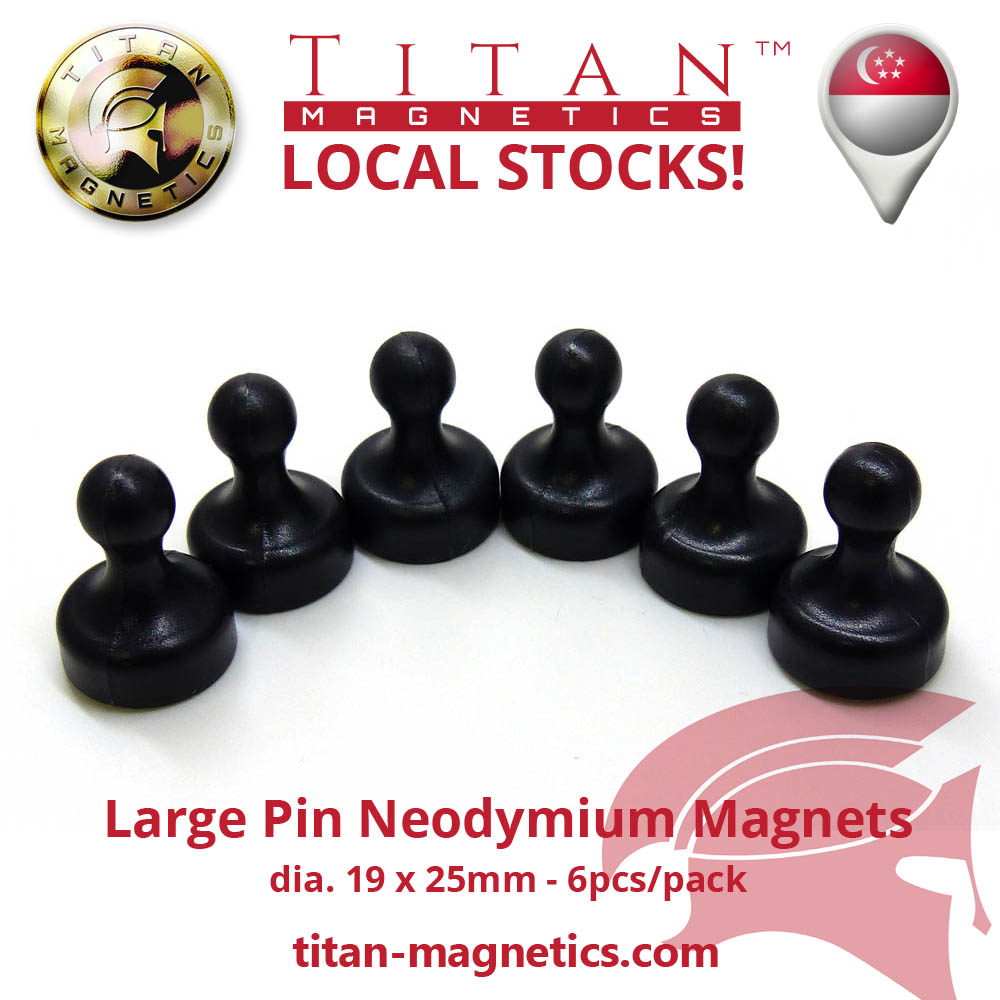Super Strong Neodymium Rare Earth Pin Magnets Large – Dia 19x25mm 6pcs ...