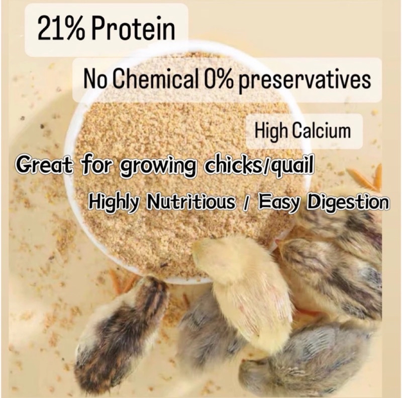 SG Stock 🇸🇬 1kg Quail Food / Chicken Food / High Protein layer feed ...