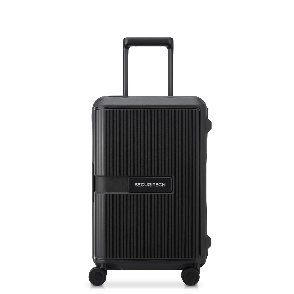 Securitech® by DELSEY PARIS Stone 4 Double Wheels Clip Trolley Case ...