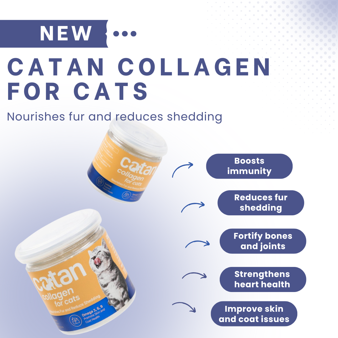 CATan Hydrolyzed Egg Powder for Cats - Collagen + Immunity ...
