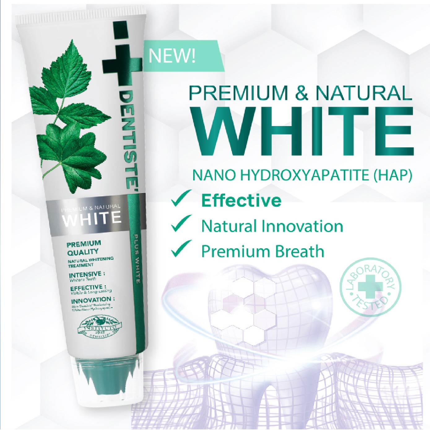 DENTISTE Premium & Natural White Toothpaste Tube 100g | Shopee Singapore