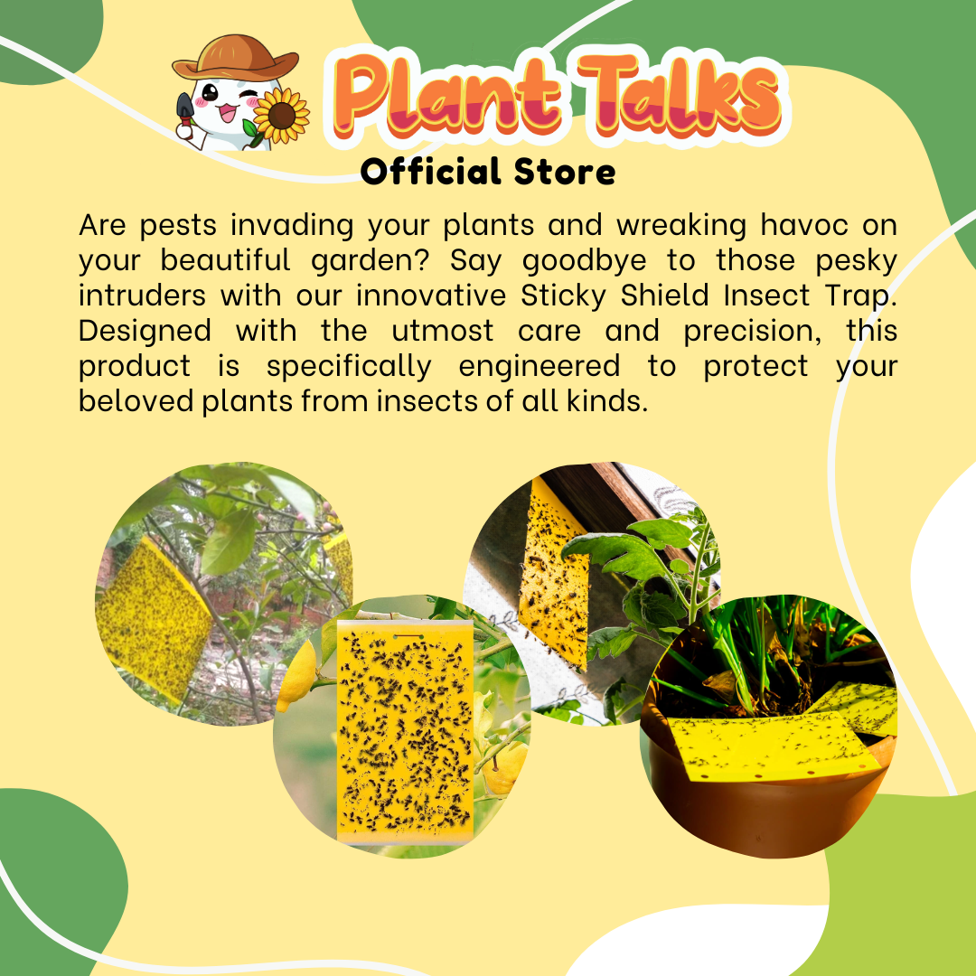 Plant Talks Sticky Shield Insect Sticky Trap for Gardening Plants Pest ...