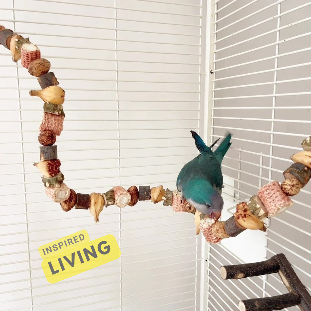 Bird Toy - Bendable Chewing Perch for Parrots | Flexible Wire Perch ...