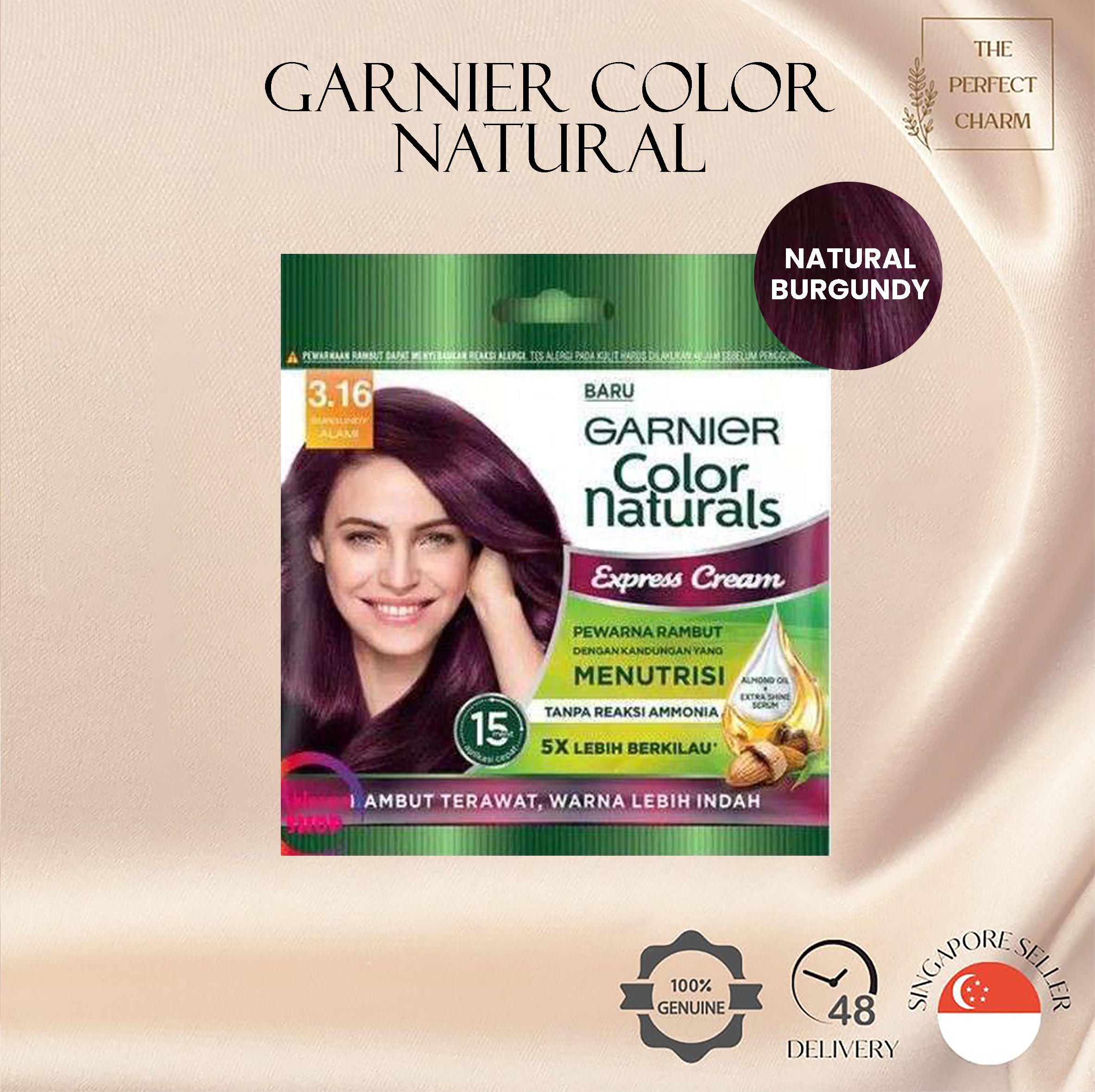 SG _ GArnier Hair Dye Hair Color Natural Hair Color Ultra Color No ...