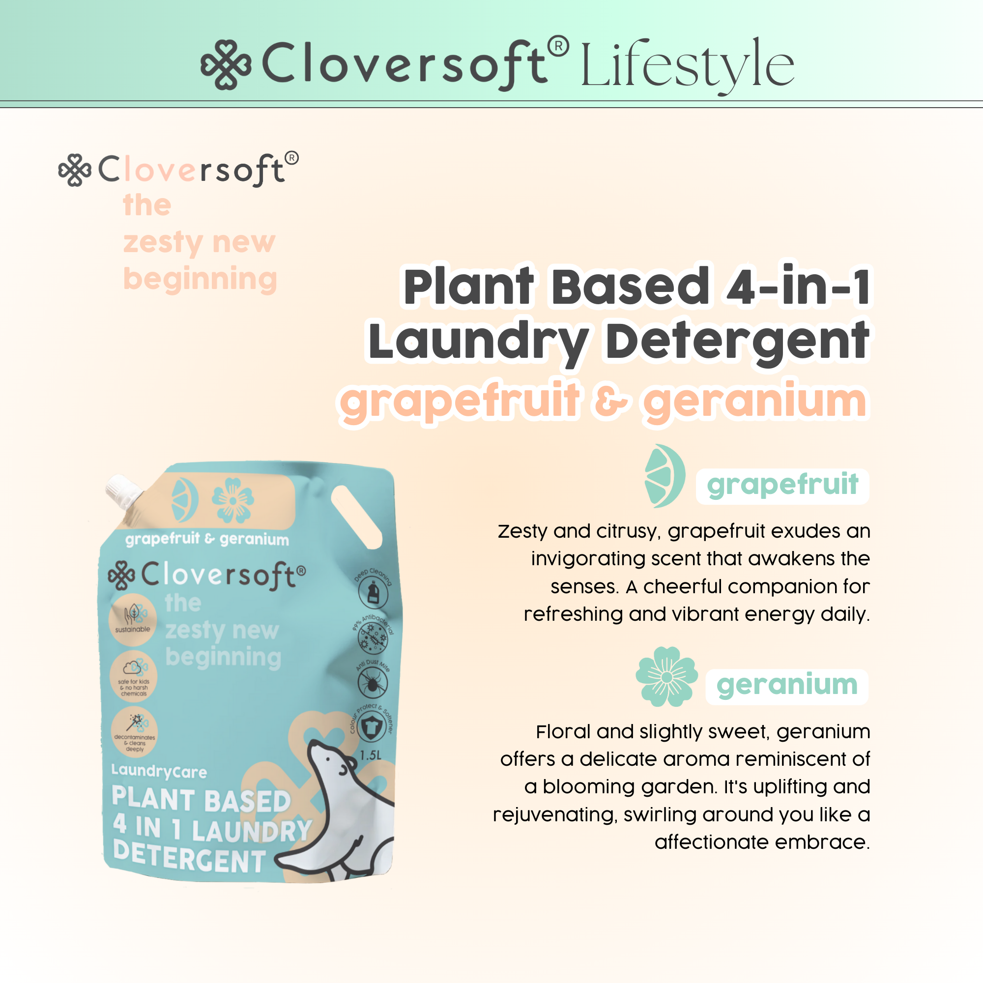 [Cloversoft Official] 4in1 Laundry Detergent Refill Plant Based Safe ...