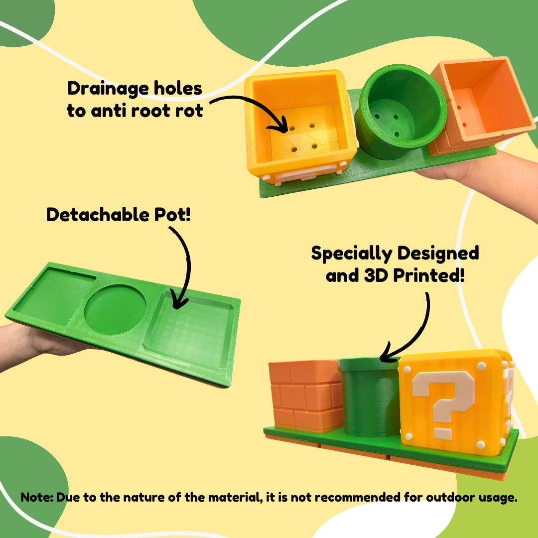 Plant Talks Super Mario Plant Pot for Succulent and Cactus Cute Pots ...