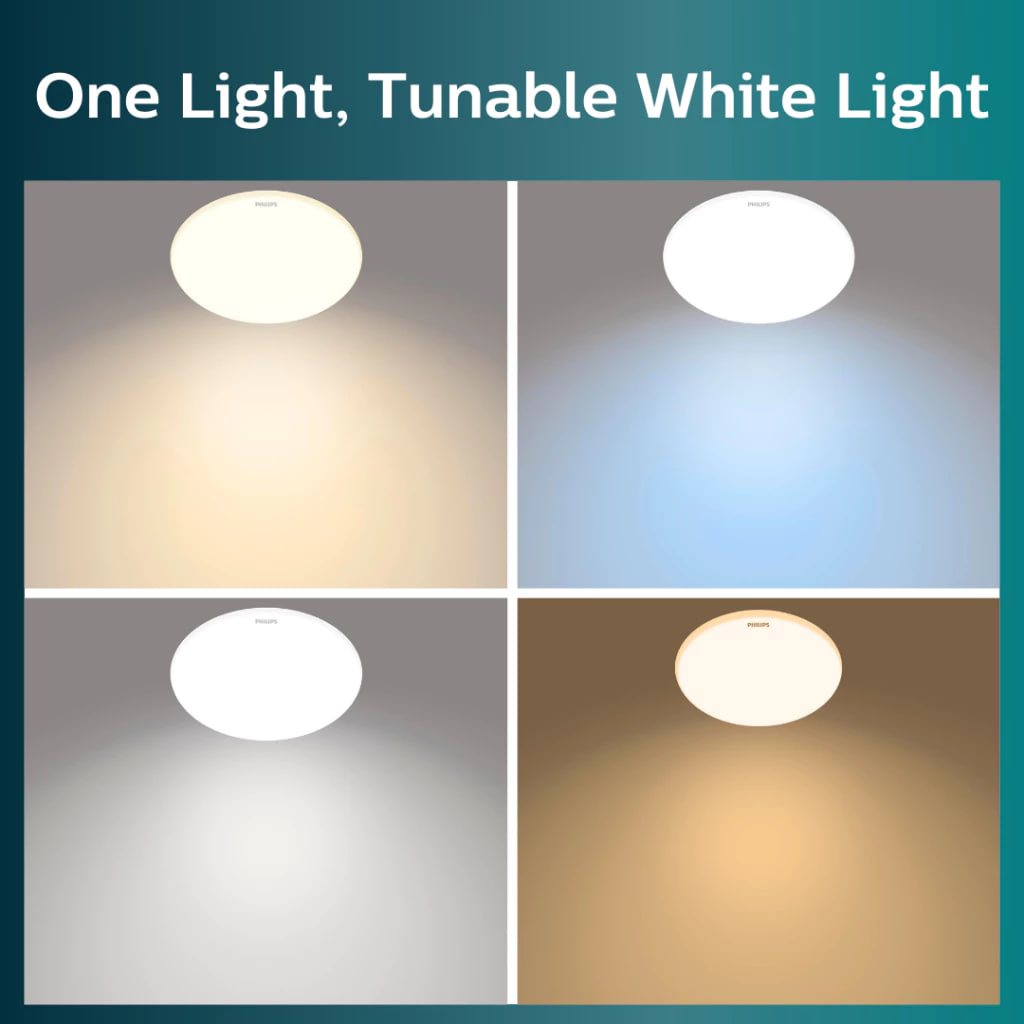 Philips Braid CL610 Tri-Color Ceiling Light with Remote Control ...