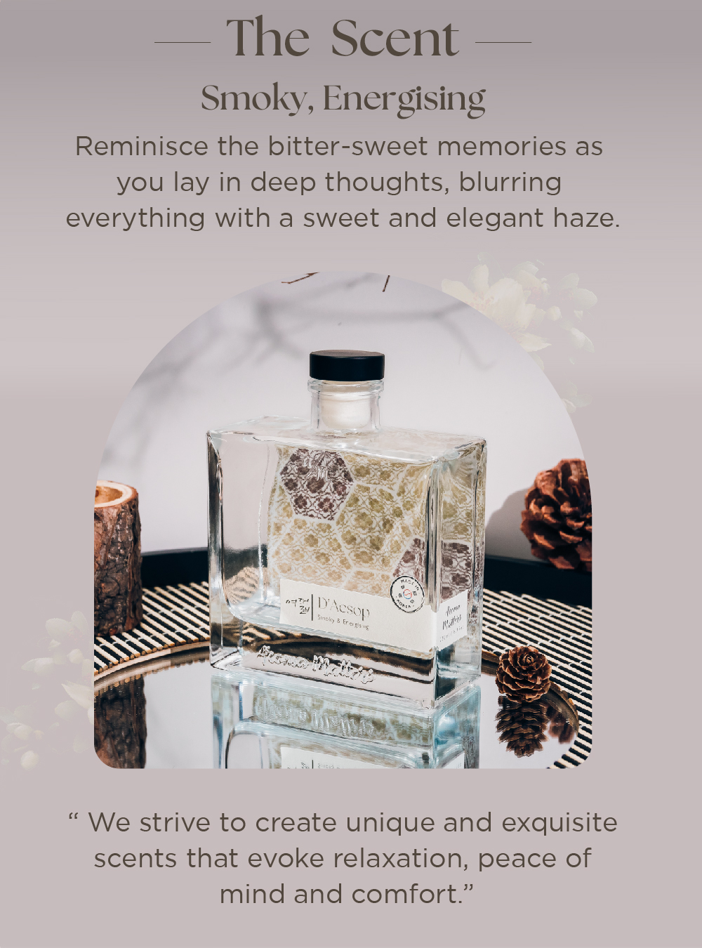 Aroma Matters D'Aesop Reed Diffuser Made In Korea 120ml and 250ml ...