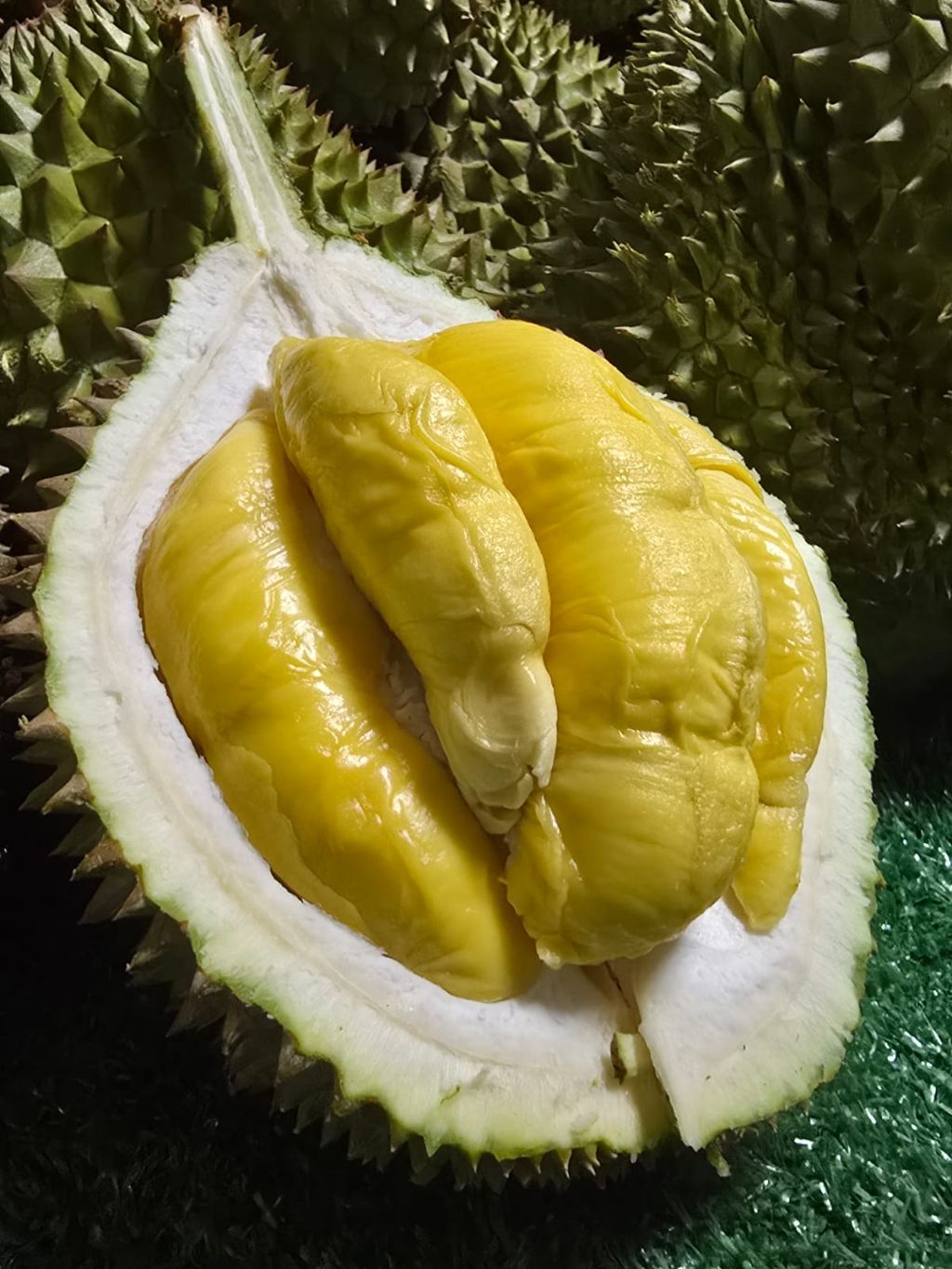 3 box x 400g 450g Mao Shan Wang Musang king Durian fresh dehusked ...