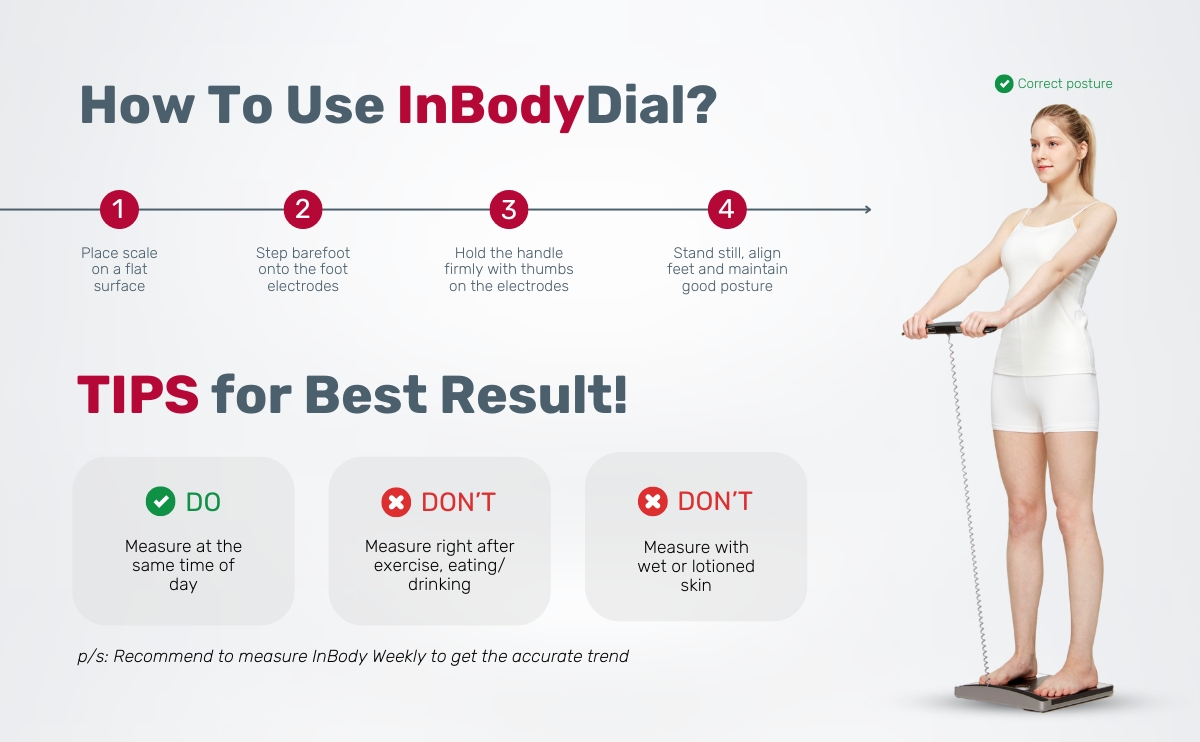 Official Distributor - InBody Dial H30 Smart Body Composition Scale ...