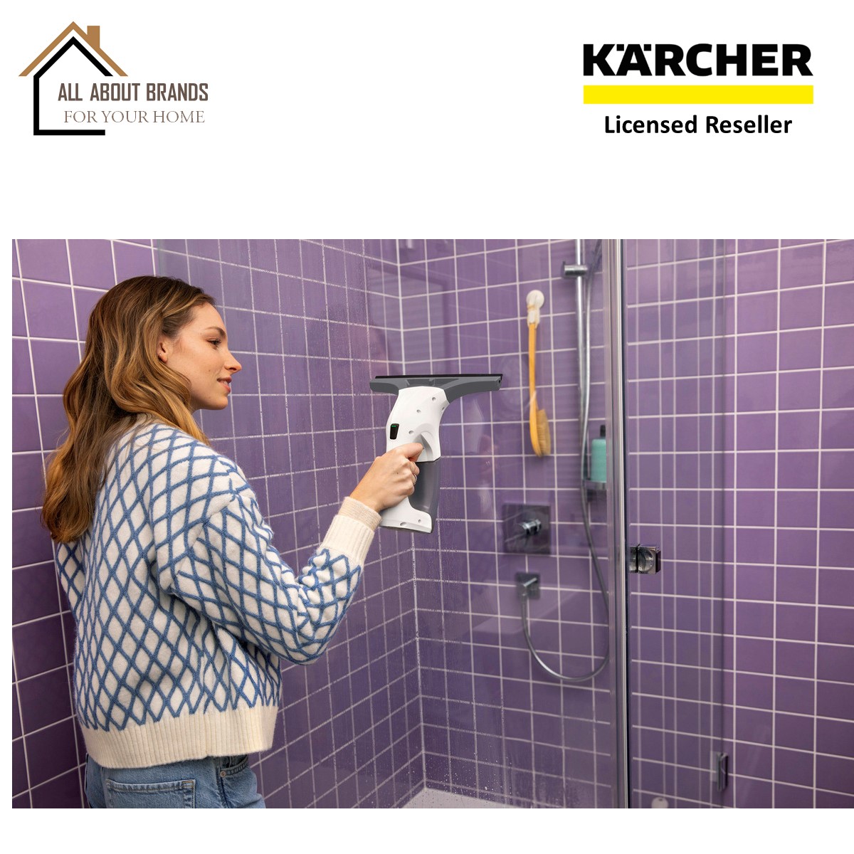 (Made in Europe) KARCHER WV 1 Plus Cordless Rechargeable Compact Window ...