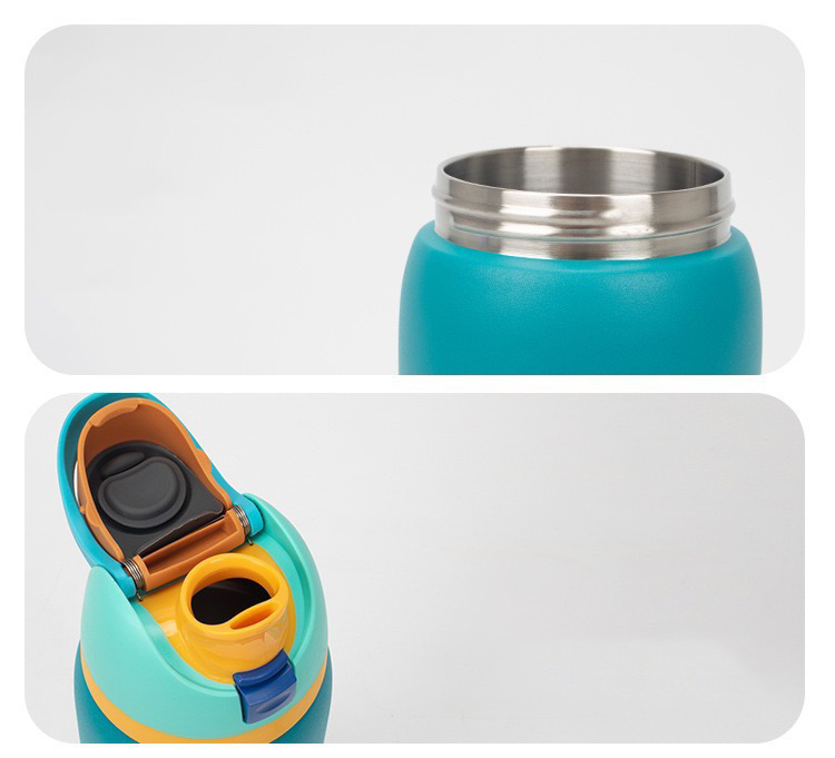 SGseler Insulated Stainless Steel Bottle with Locking Push Button Lid ...