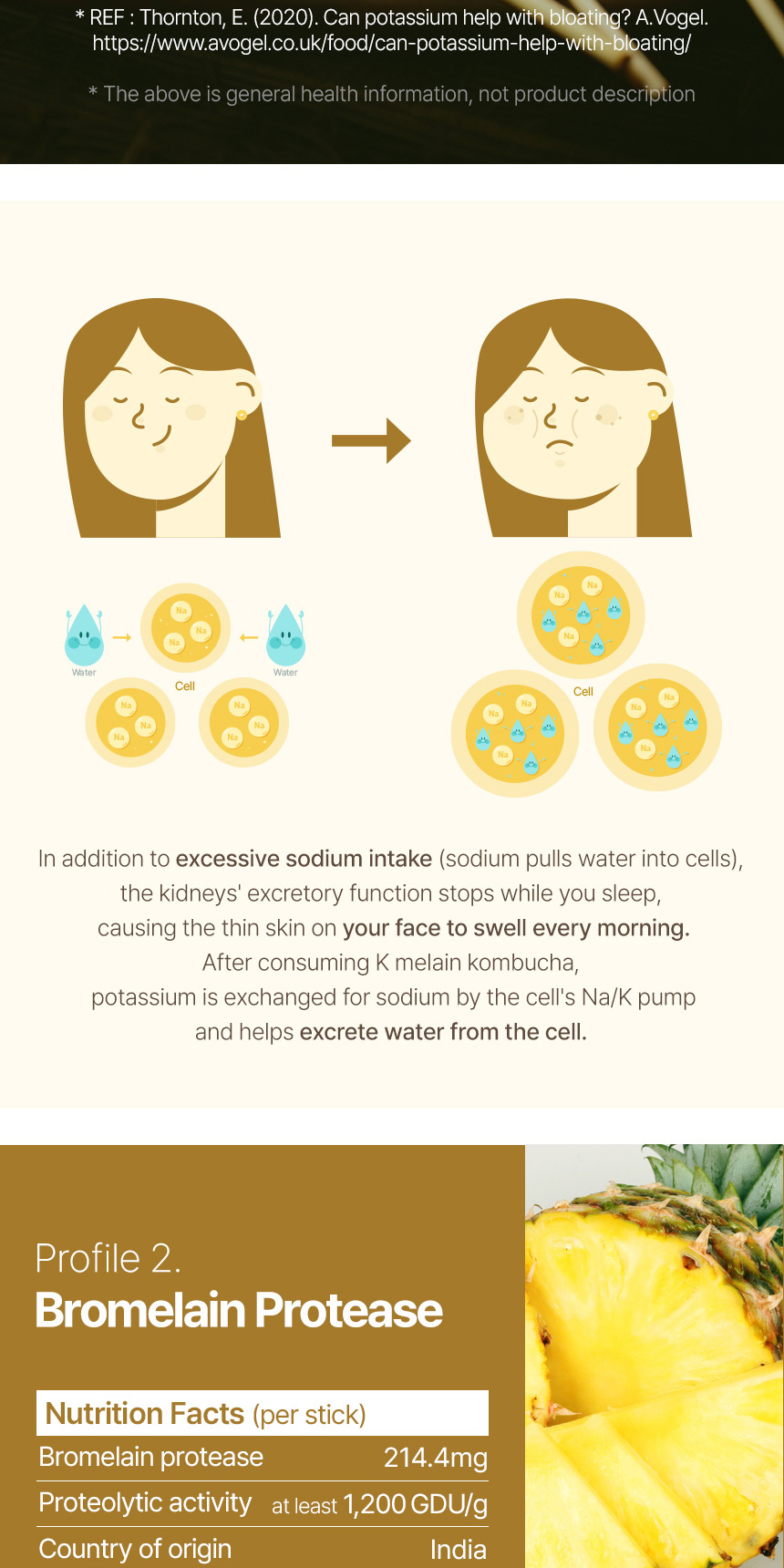 [YOUNGLONG] Slimming Kombucha with Bromelain / Digestive Enzyme & Diet Tea / Bloating Relief ...