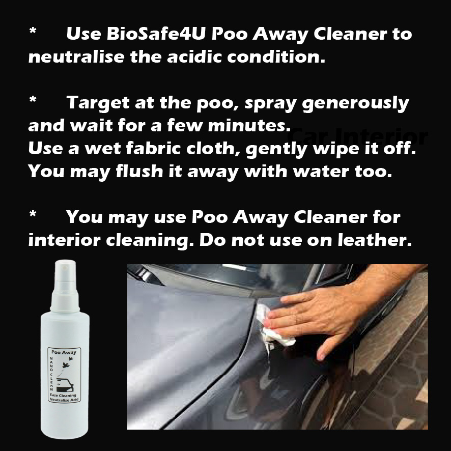 BioSafe4U Poo Away, a non-corrosive cleaner for bird poo and car ...