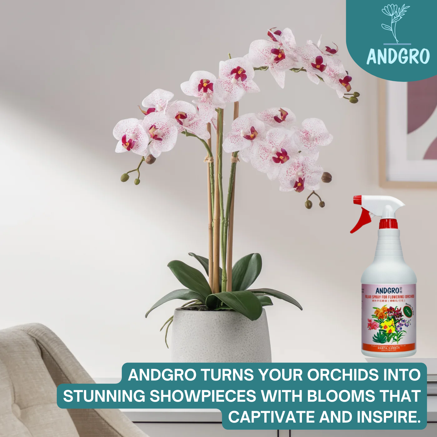 ANDGRO Foliar Spray for Flowering - Orchid (1000ml) | Shopee Singapore