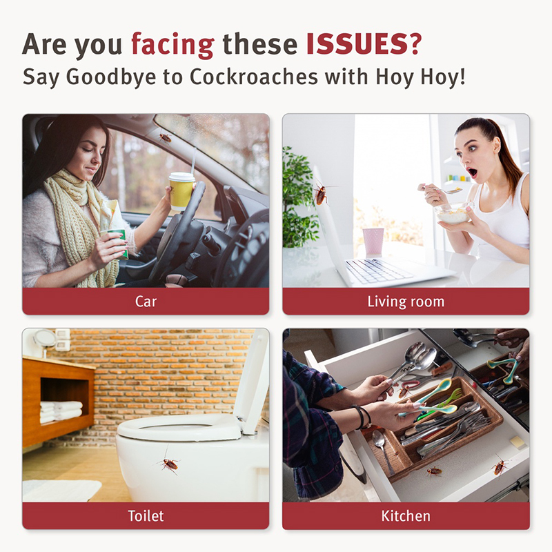 【HM】SG STOCK 10 Traps (1Box) Cockroach Trap Lizard Trap Sticker Glue ...