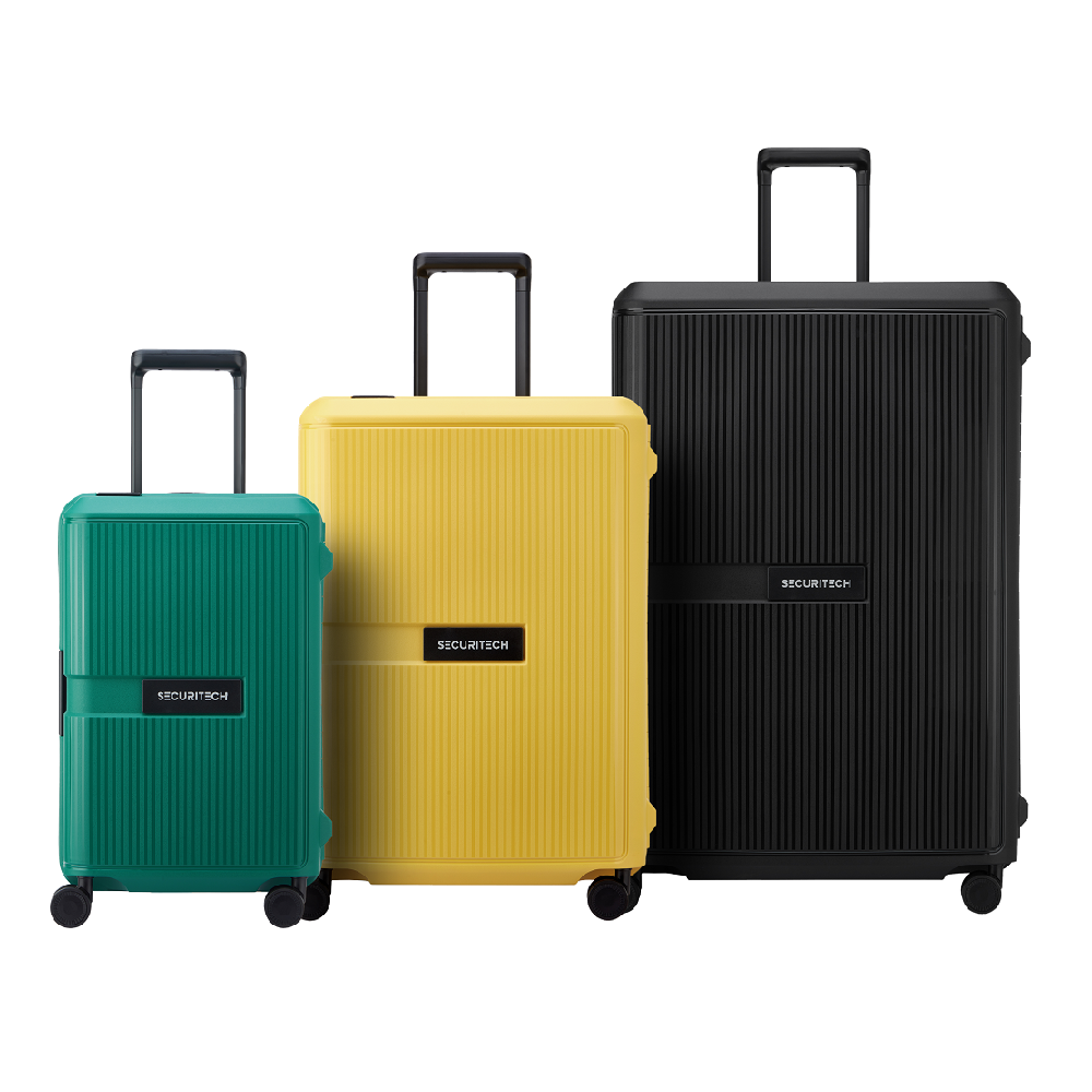 Securitech® by DELSEY PARIS Stone 4 Double Wheels Clip Trolley Case ...
