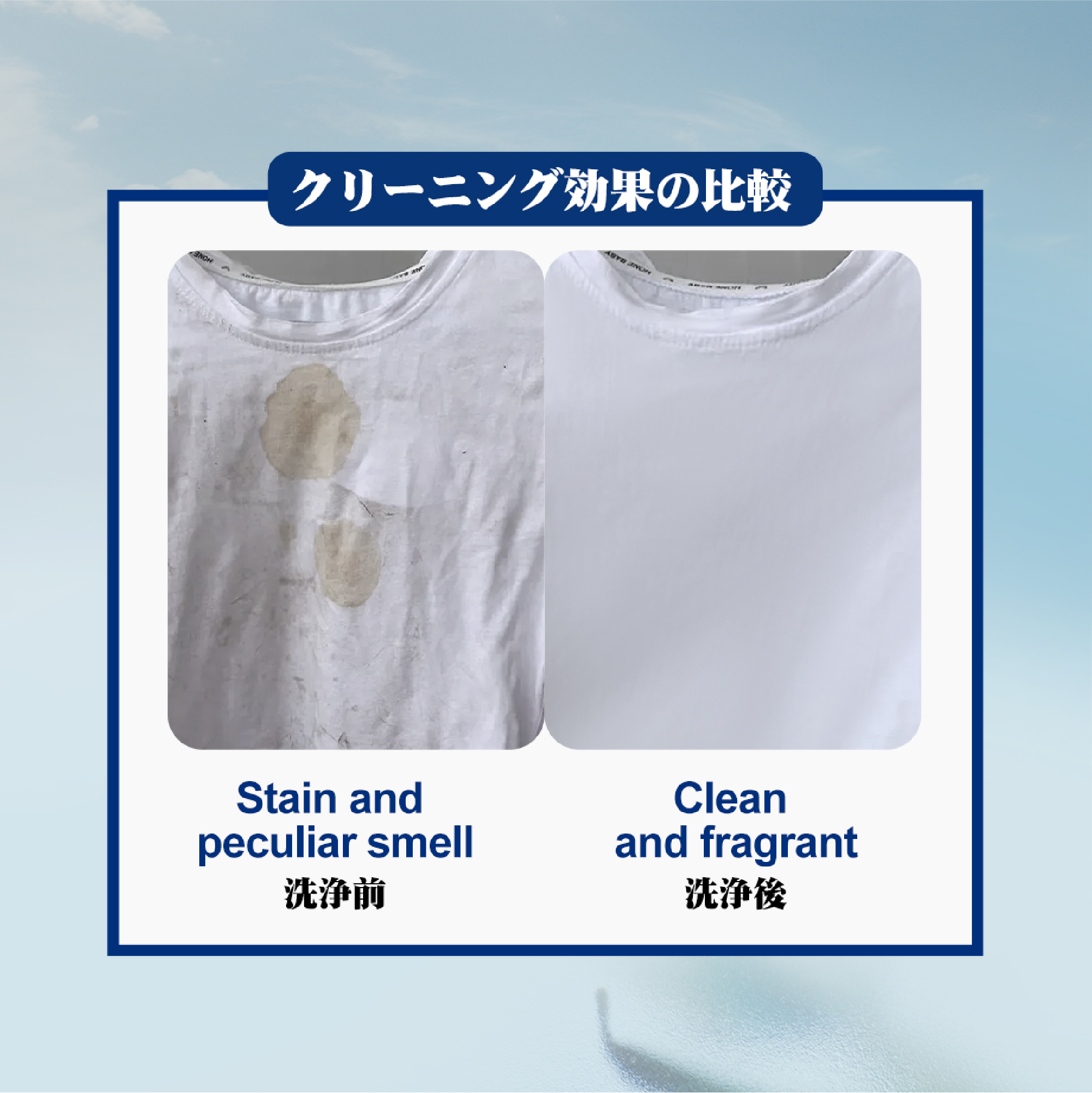 [NEW LAUNCH PROMO] PODDO Bio-Enzyme 99.9% Anti-Bacterial Laundry ...