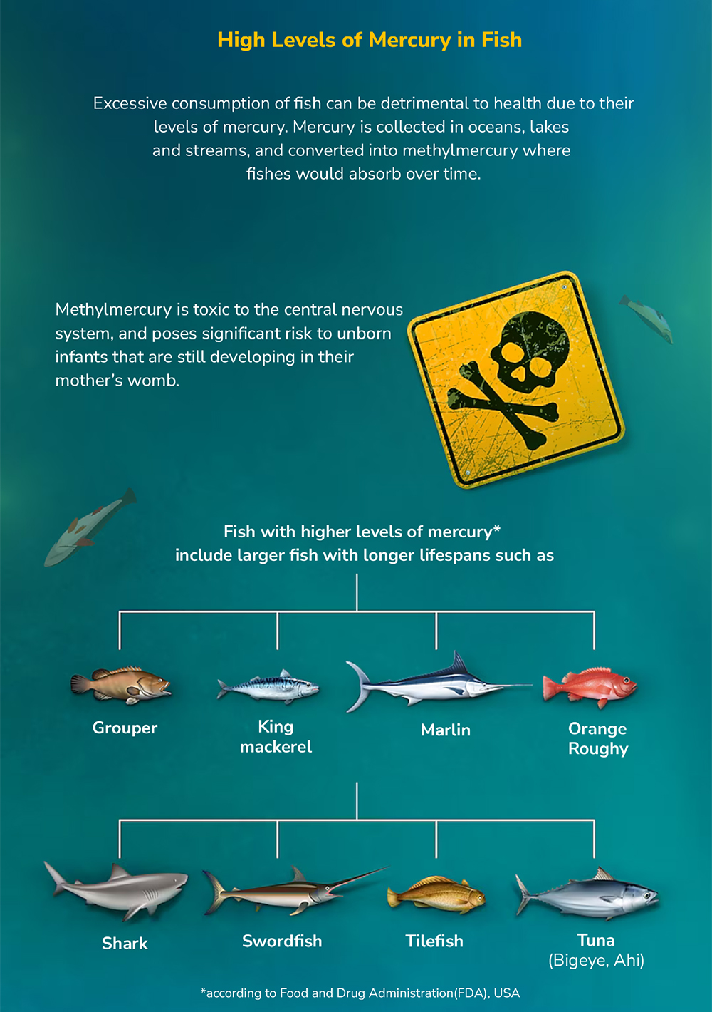 [LAC OMEGAS & FISH OIL] Trimax Omega Fish Oil (60 /120 softgels / 120 ...