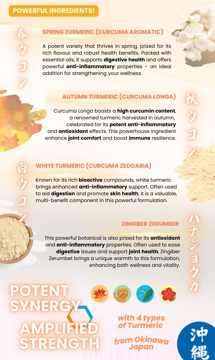 RED SUN Golden Turmeric | Cleanse Blood Vessel & Aid Joint Inflammation ...