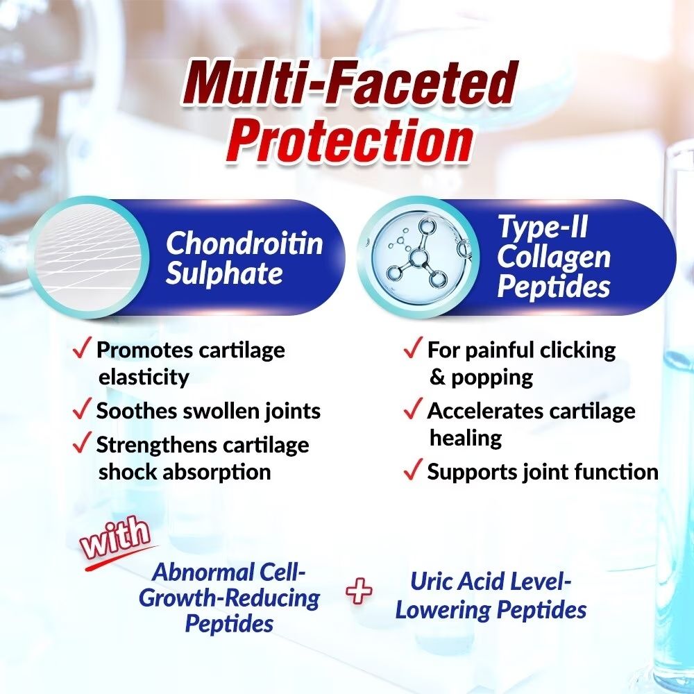 AFC JAPAN SCP Cartilage Sensei Supreme Dietary Supplement Tablet 240s ...