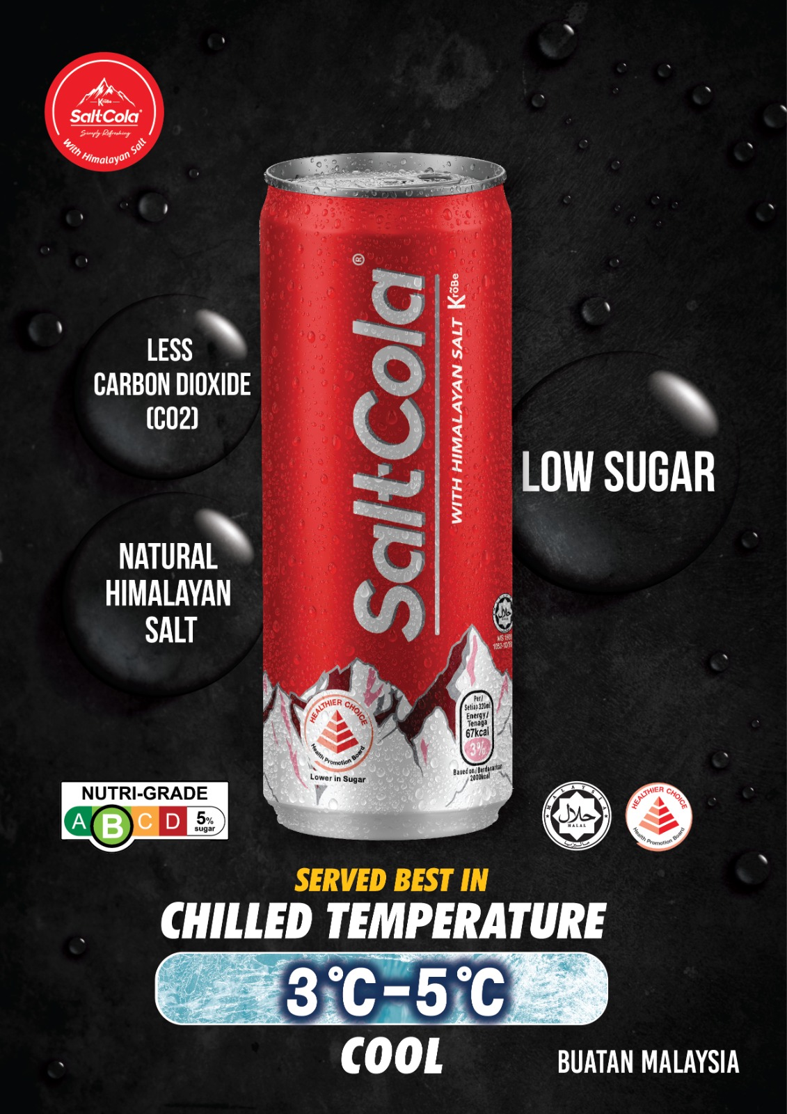 Salt Cola with Himalayan Salt (24 X 320ml) | Shopee Singapore