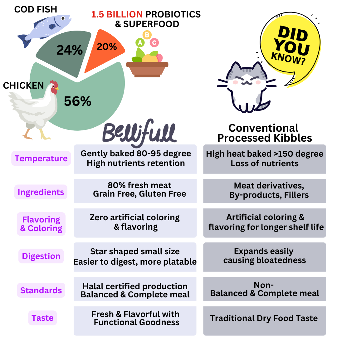 Bellifull Slow Baked Cat Kibbles 1.5kg. Grain free Cod and Chicken ...