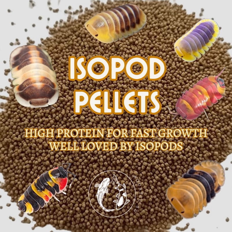 SG READY STOCK | Isopod Pellets Isopod Food For Isopod Dried Mulberry ...